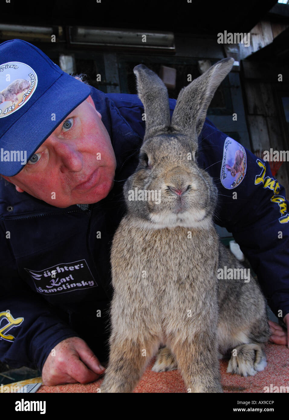 German rabbit breeder Karl Szmolinsky with one of his giant rabbits ...