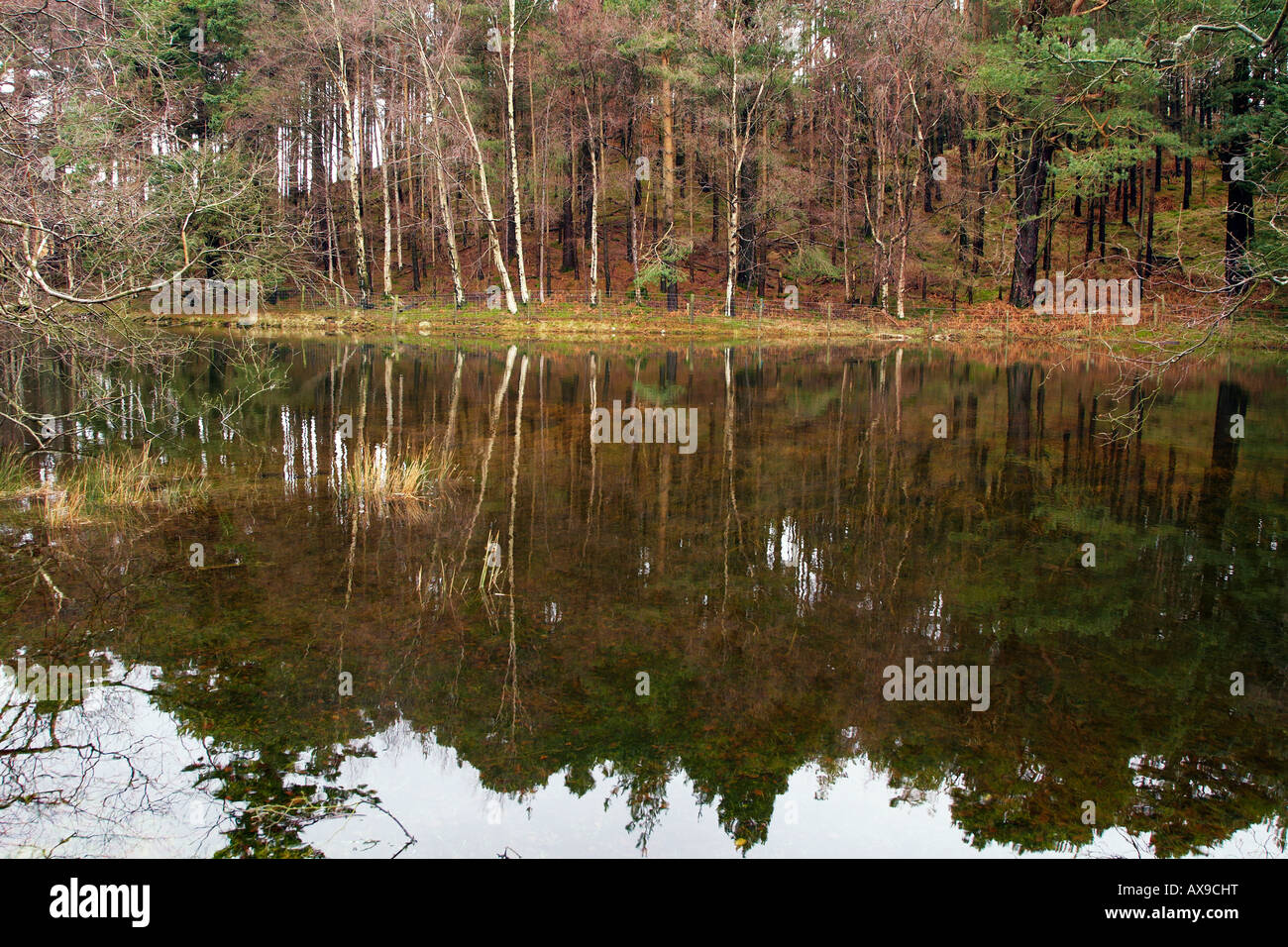 Lanty hi-res stock photography and images - Alamy