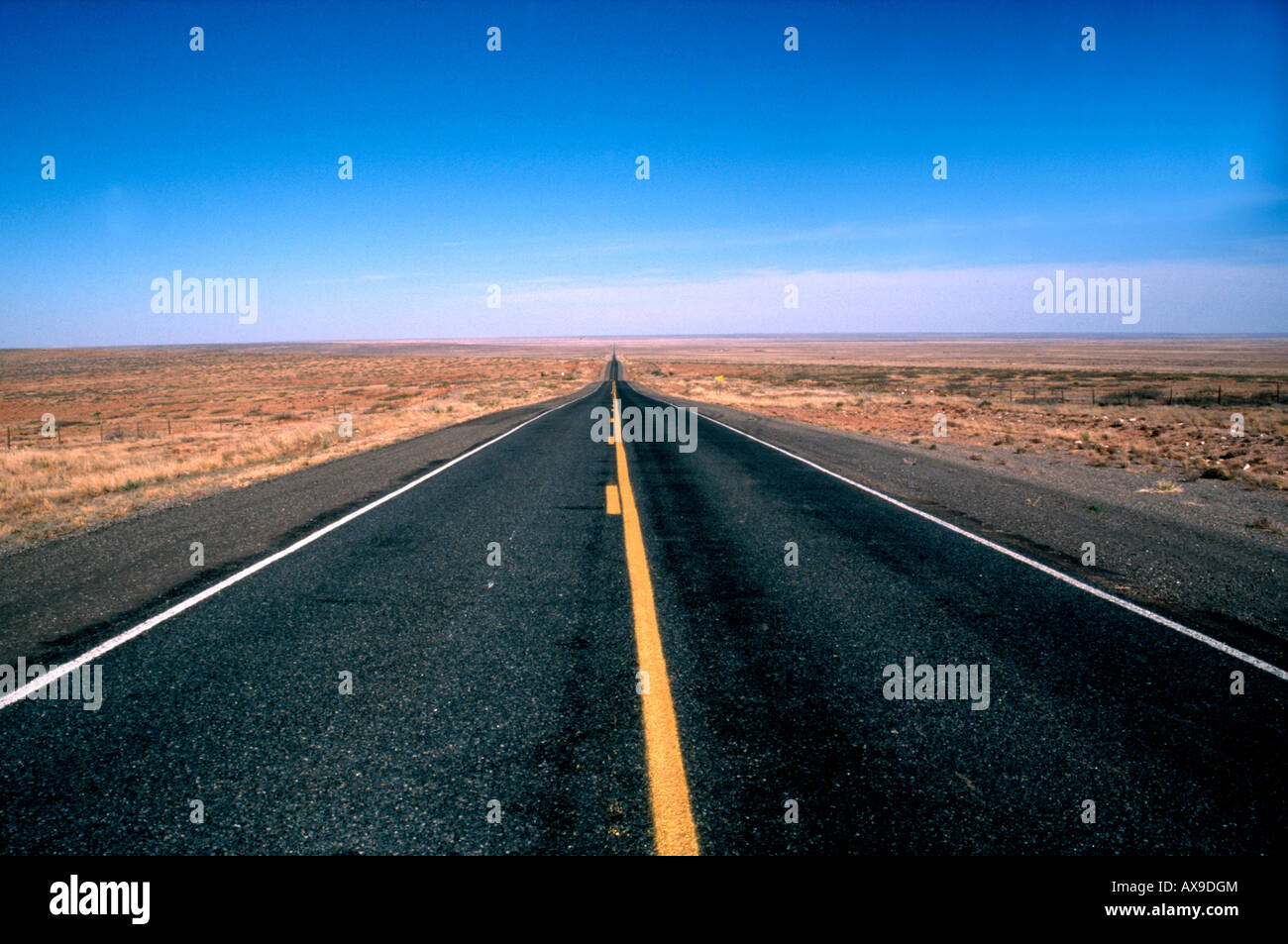 Straight desert road in New Mexico USA Stock Photo - Alamy