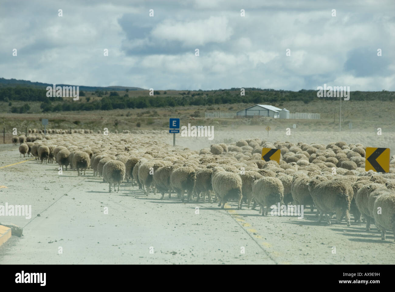 Volcanoes,Snow Capped,Pristine Meadows,Farming,Fishing,Boating,Unspoilt ...