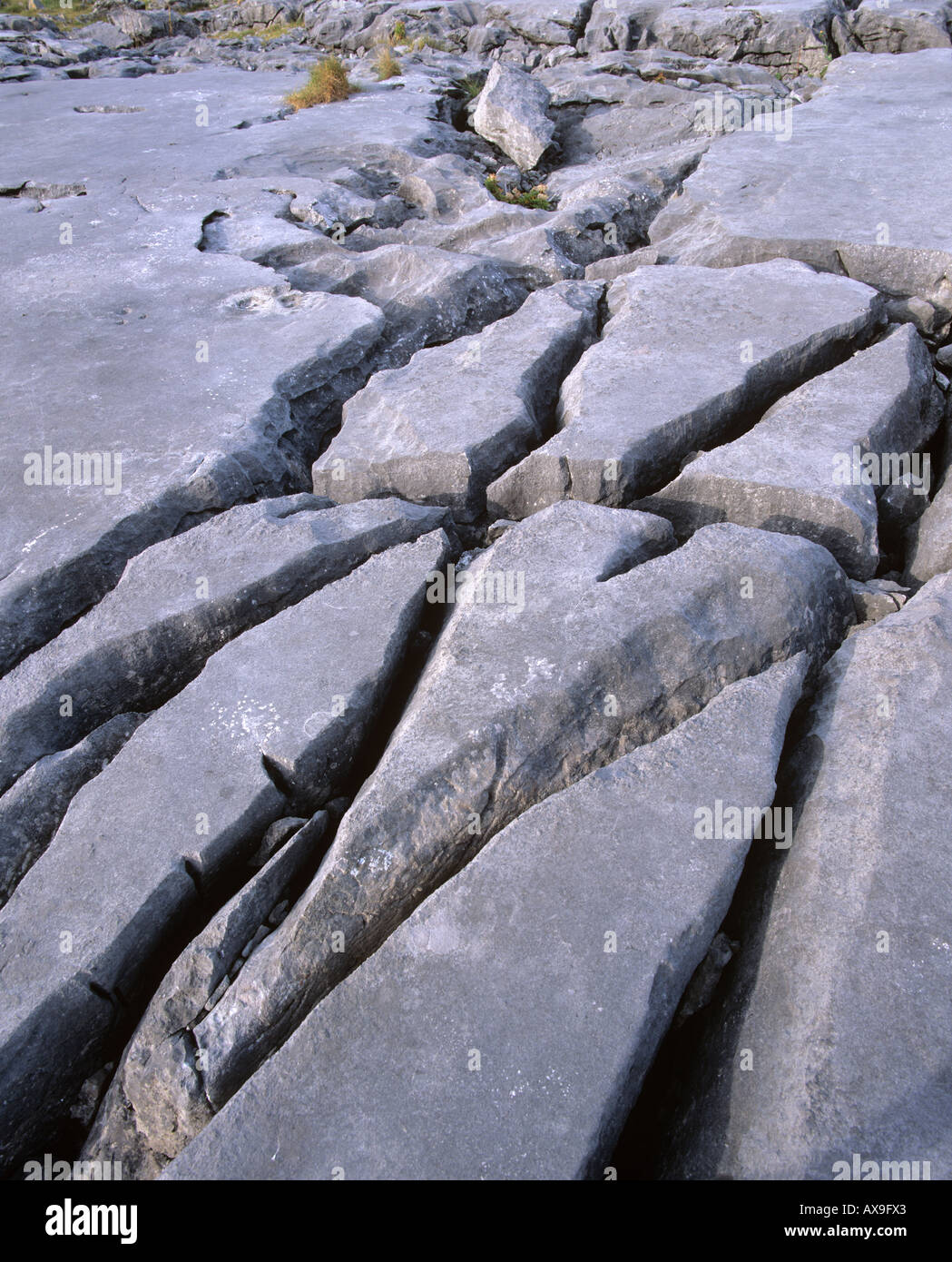 Clint and grike hi-res stock photography and images - Alamy