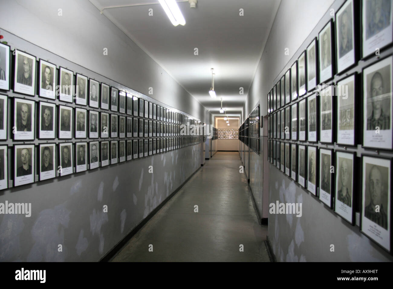 Hundreds of prisoner photographs, main corridor, Block 11, Auschwitz ...