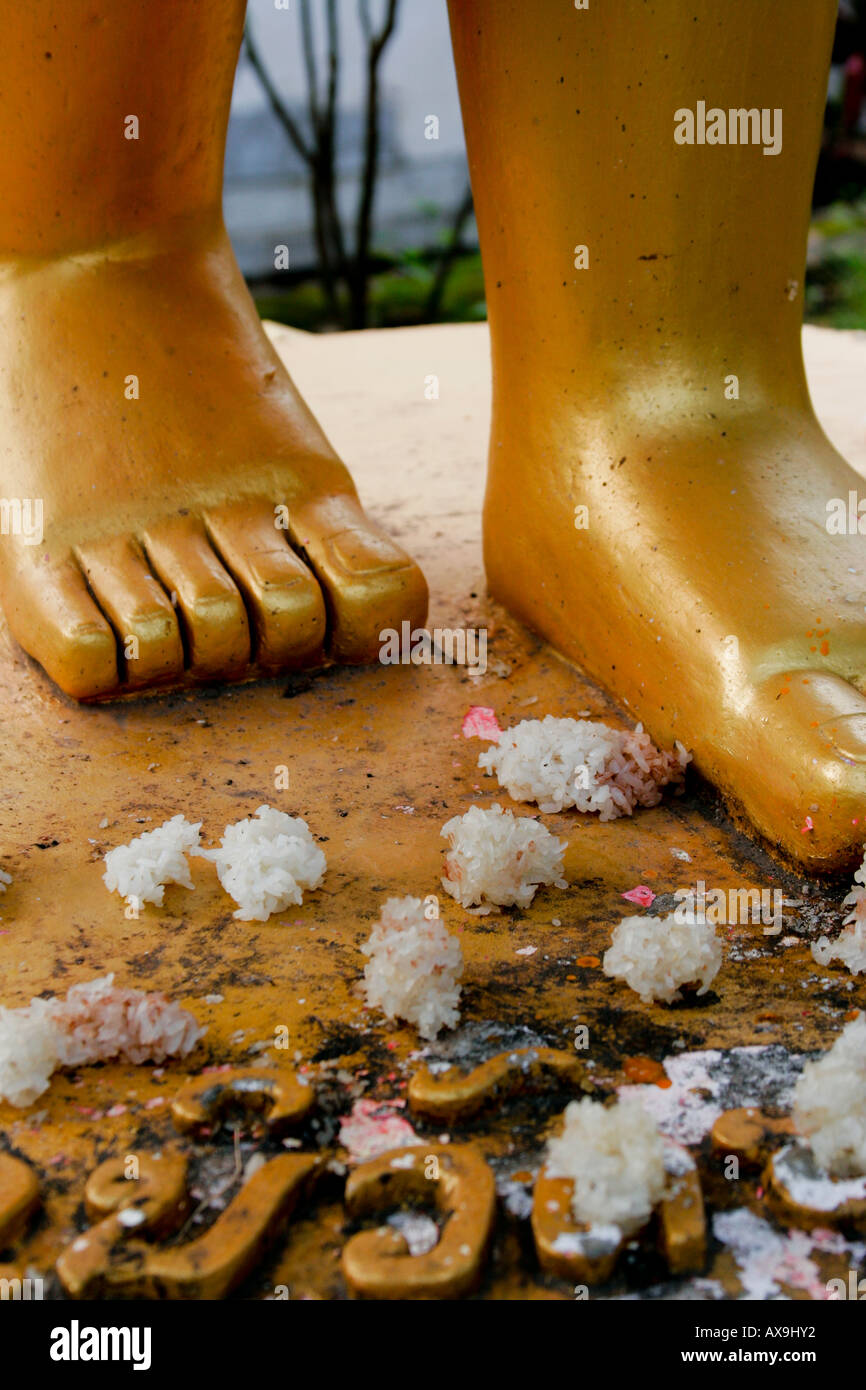 Rice offering to Buddha Louang Phabang Stock Photo - Alamy