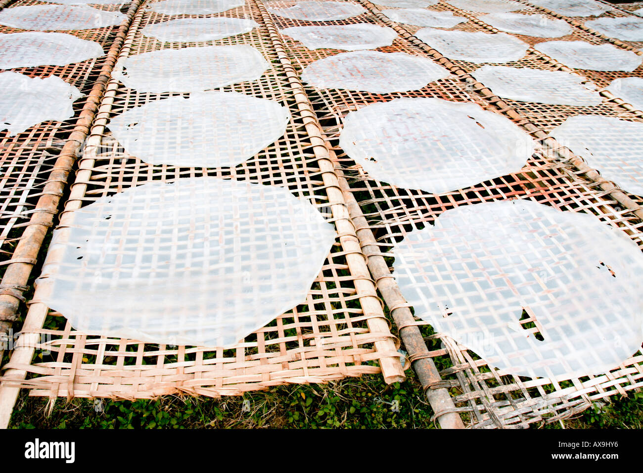 Rice paper drying in the sun Stock Photo - Alamy