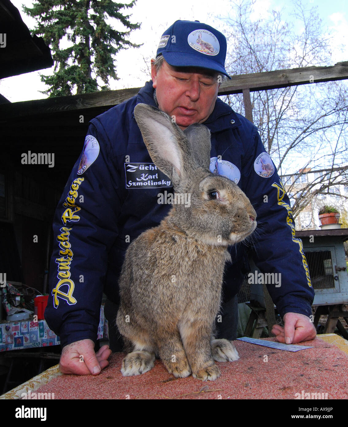 German rabbit breeder Karl Szmolinsky with one of his giant rabbits ...