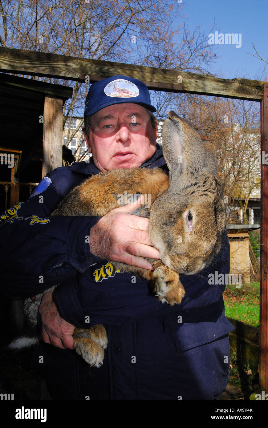 German rabbit breeder Karl Szmolinsky with one of his giant rabbits ...