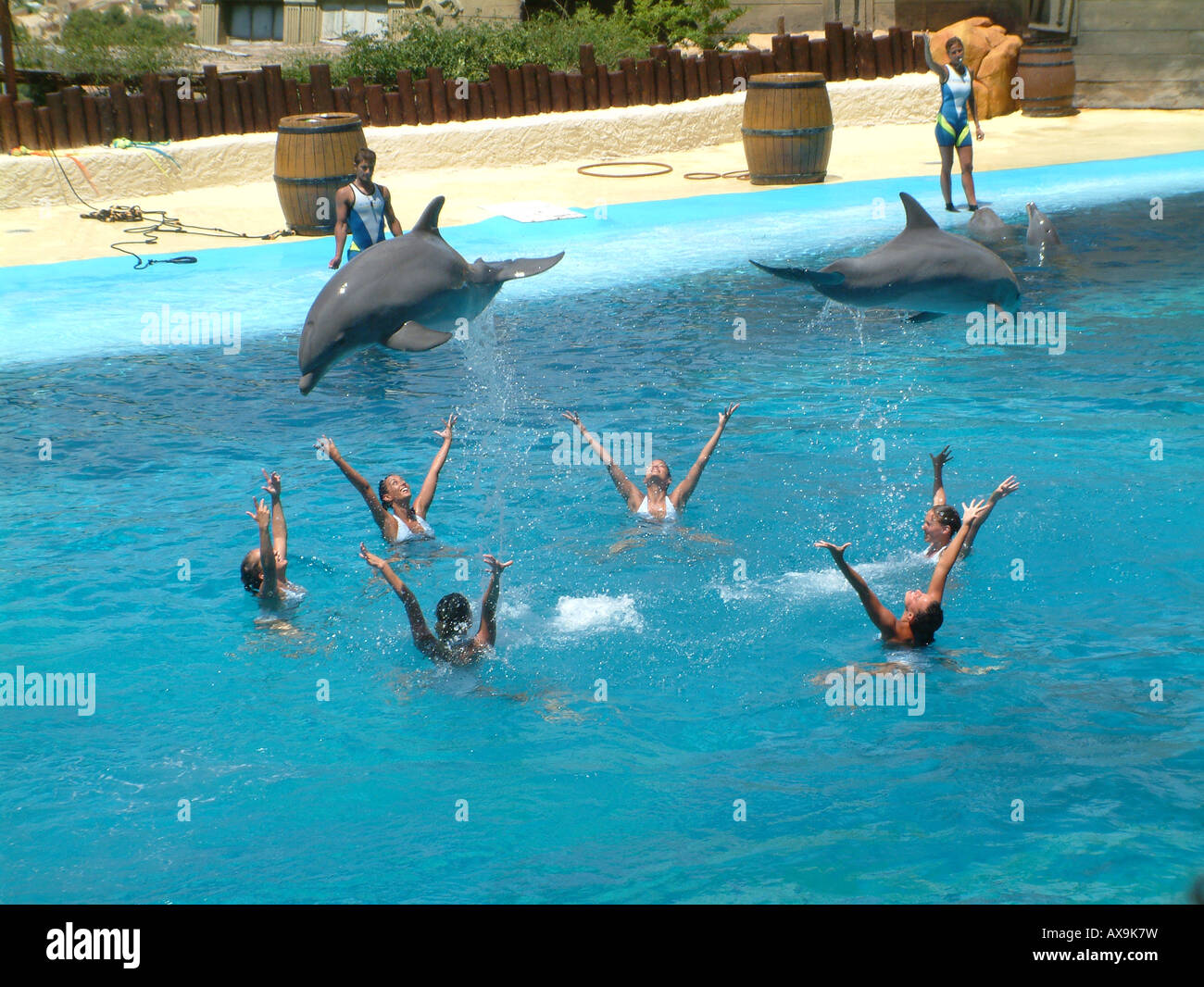 dolphin show, Mundomar, Benidorm, Alicante Province, Spain Stock Photo ...