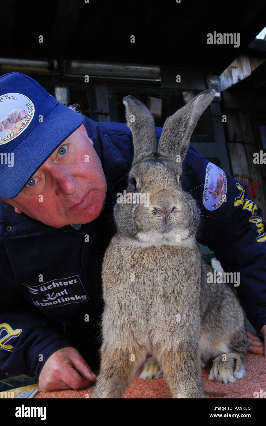 German rabbit breeder Karl Szmolinsky with one of his giant rabbits ...