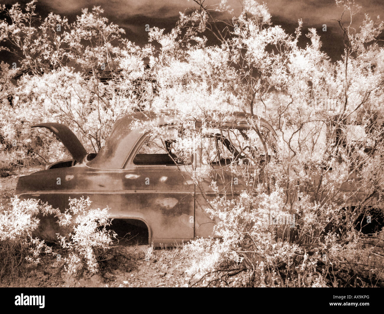Infrared light car hi-res stock photography and images - Alamy