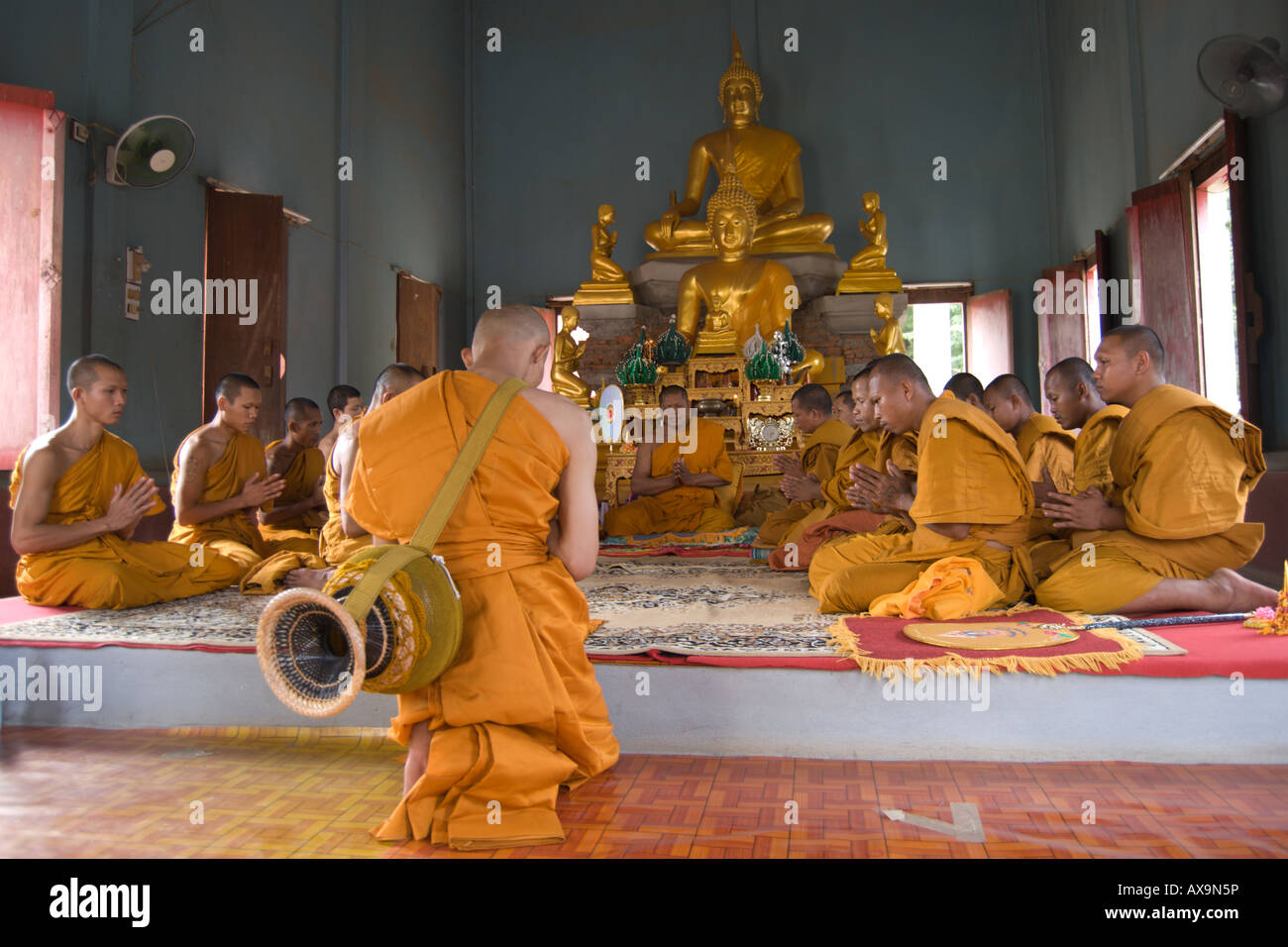 a novice thai monk with an alms bowl on his back, kneels before the ...