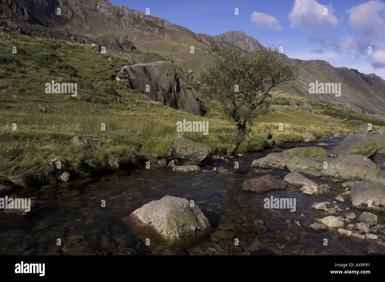 Stream, Snowdonia, Wales, UK Stock Photo - Alamy
