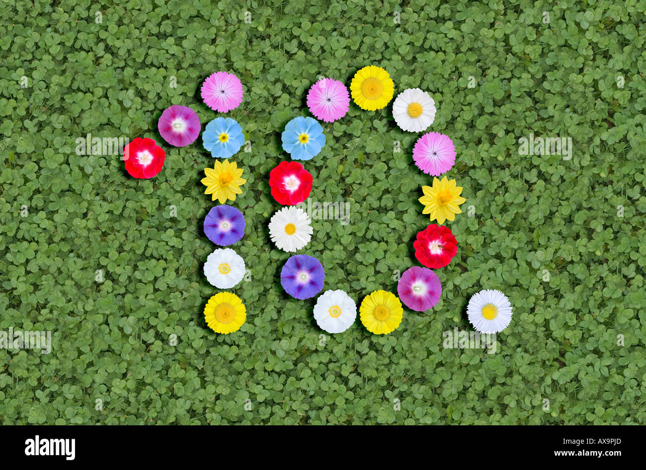 Jubilee celebration flower hi-res stock photography and images - Alamy