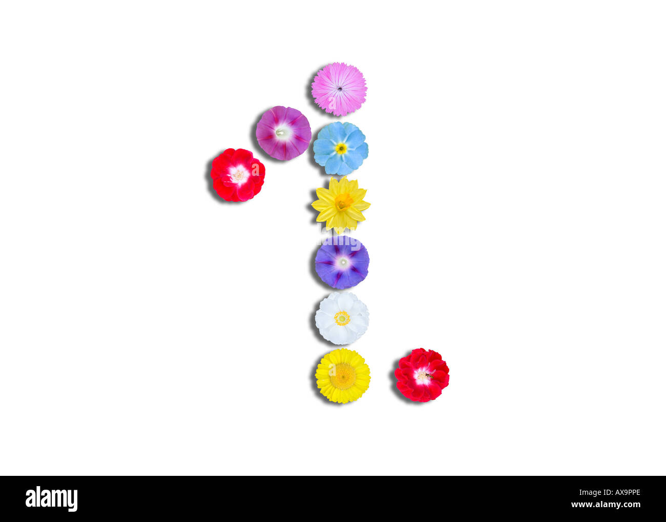 Number writing Cut Out Stock Images & Pictures - Alamy