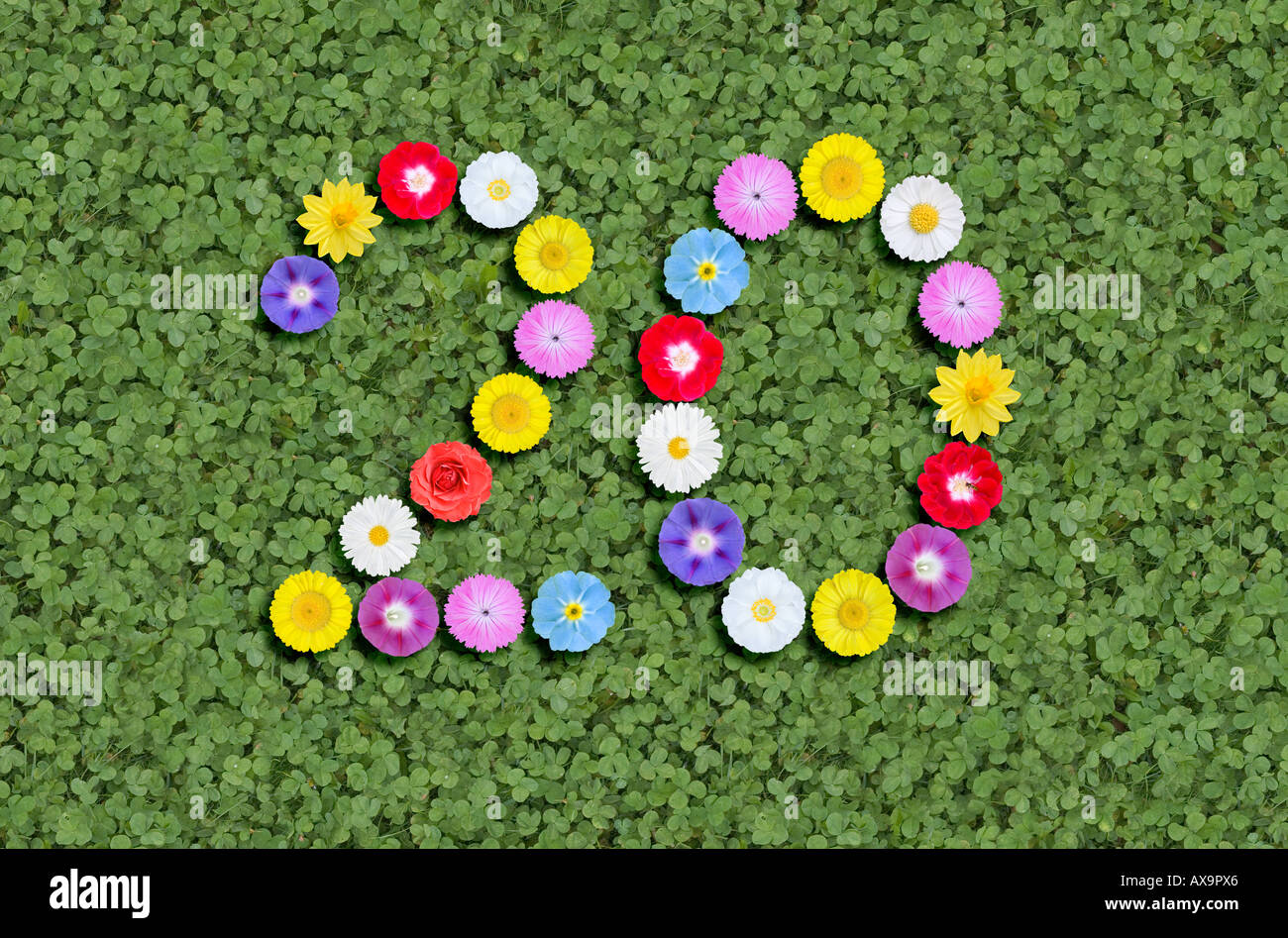 number 20 written with flower heads Stock Photo - Alamy