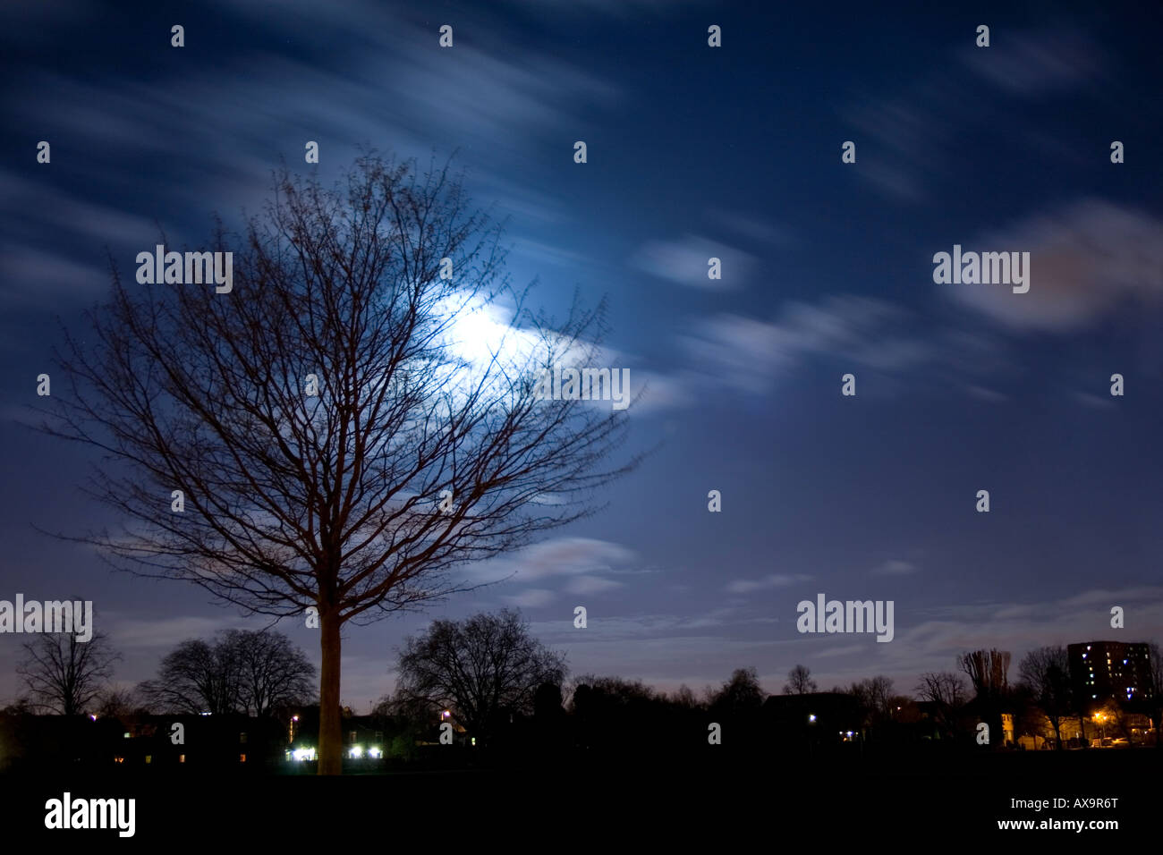 Freak tree hi-res stock photography and images - Alamy