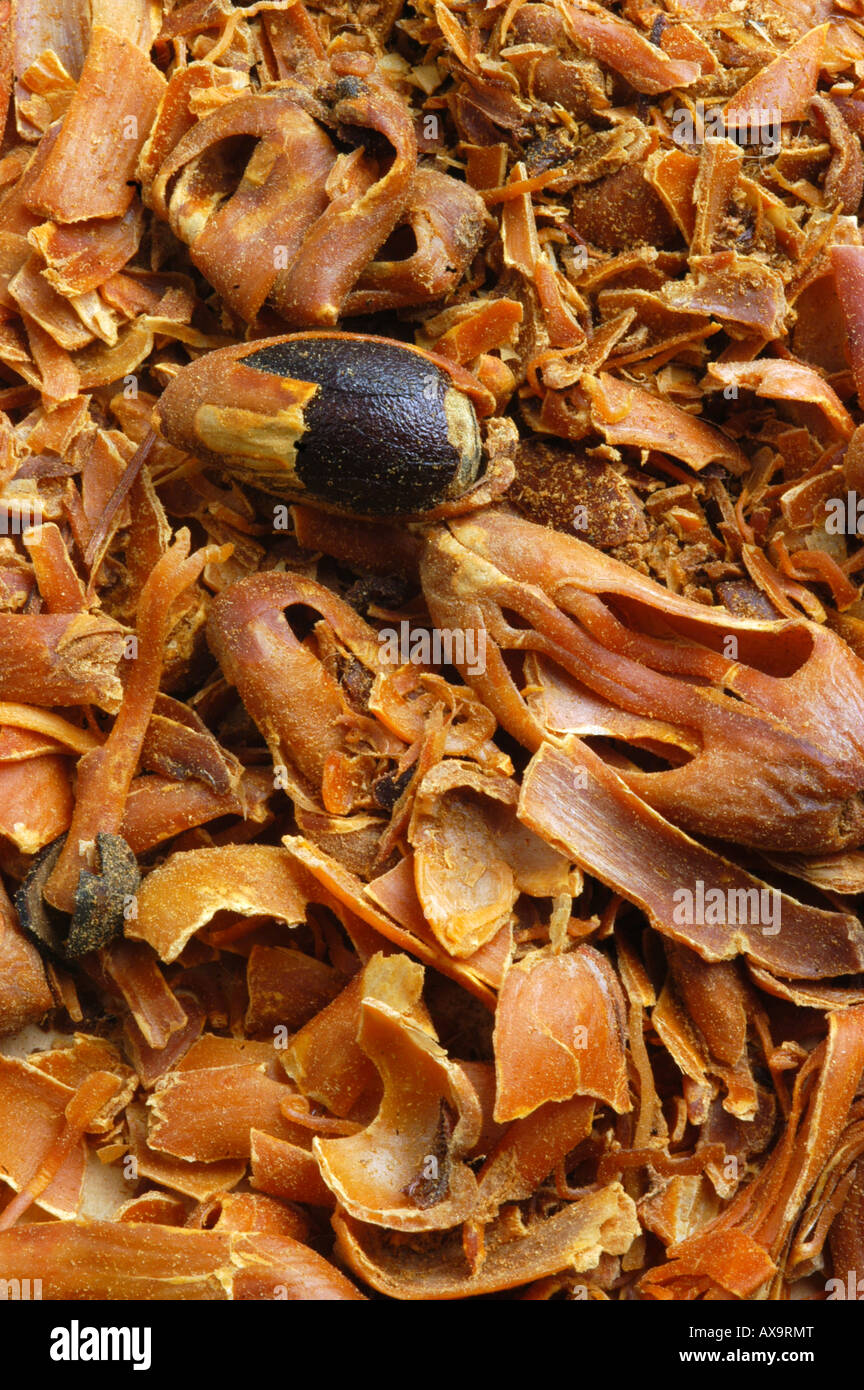 Mace maces hi-res stock photography and images - Alamy