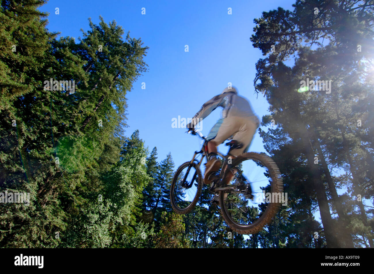 Bike Jumping In Woods Stock Photo - Alamy
