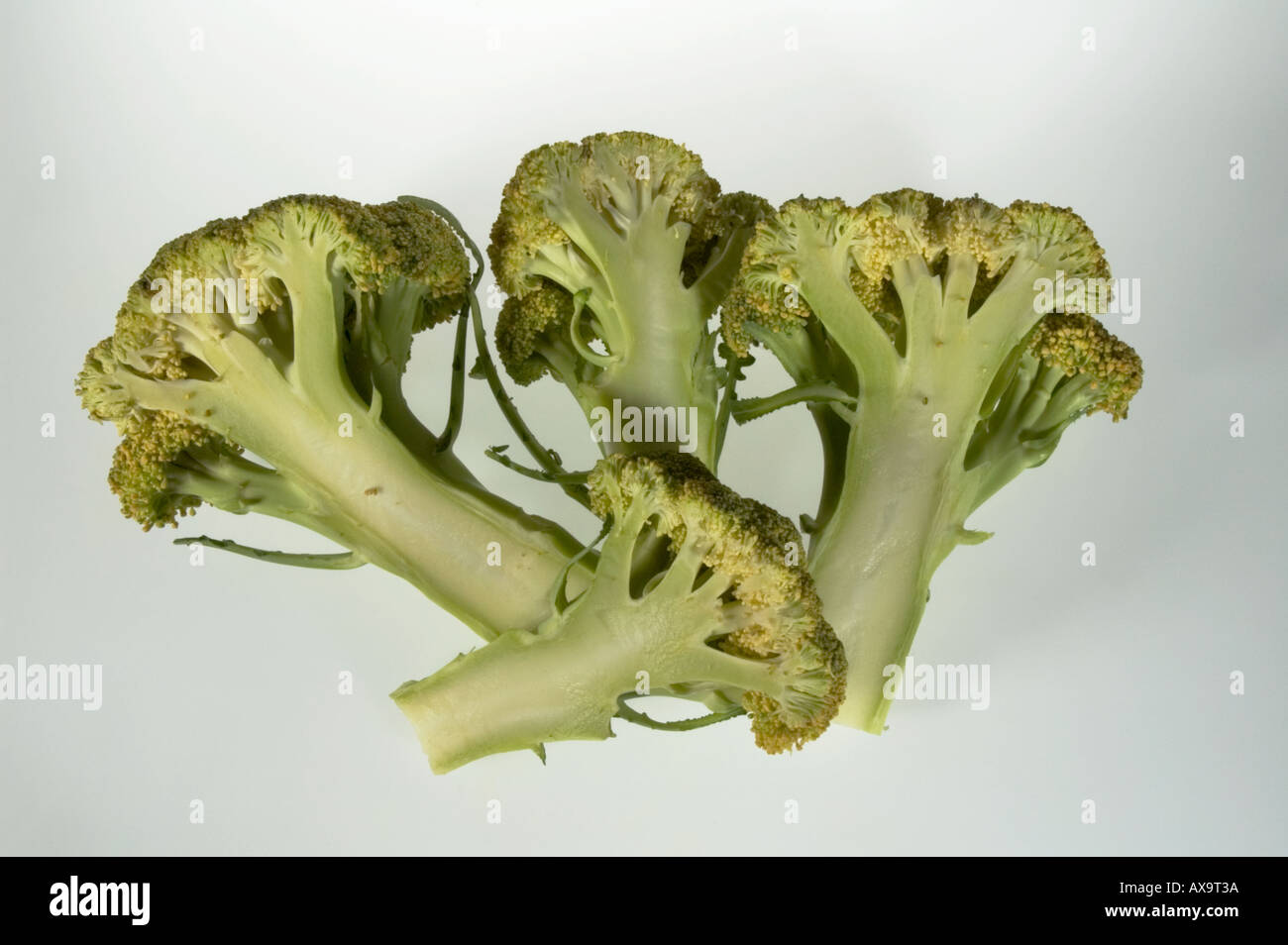 Cross section of raw/uncooked broccoli Stock Photo - Alamy