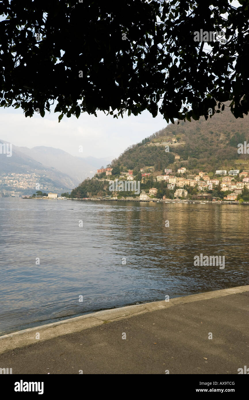 A MANICURED TREE ALONG LAKE COMO COMO ITALY Stock Photo - Alamy
