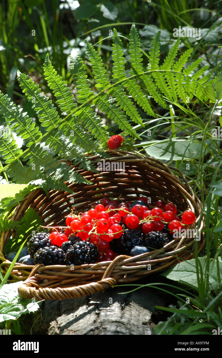 Frutti Di Bosco High Resolution Stock Photography and Images - Alamy