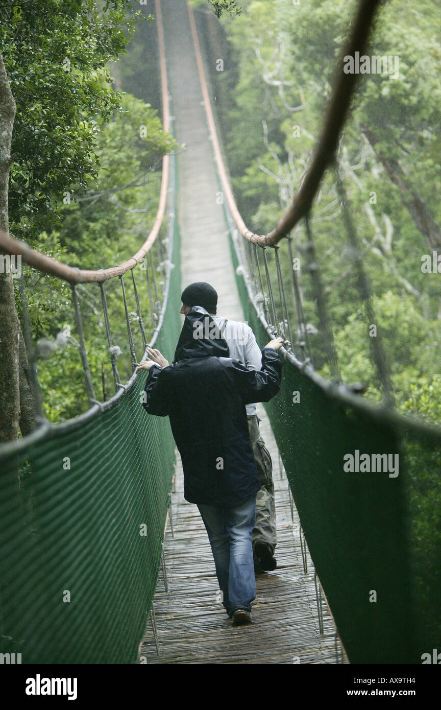 Monkey bridge hi-res stock photography and images - Alamy
