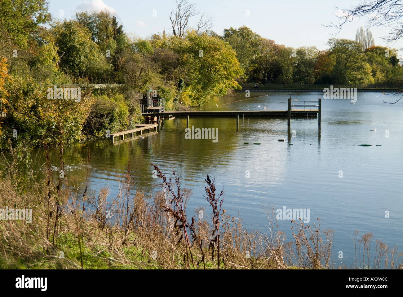 Hampstead pond men's hi-res stock photography and images - Alamy