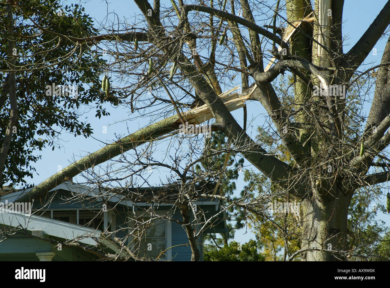 Damage to power lines hi-res stock photography and images - Alamy
