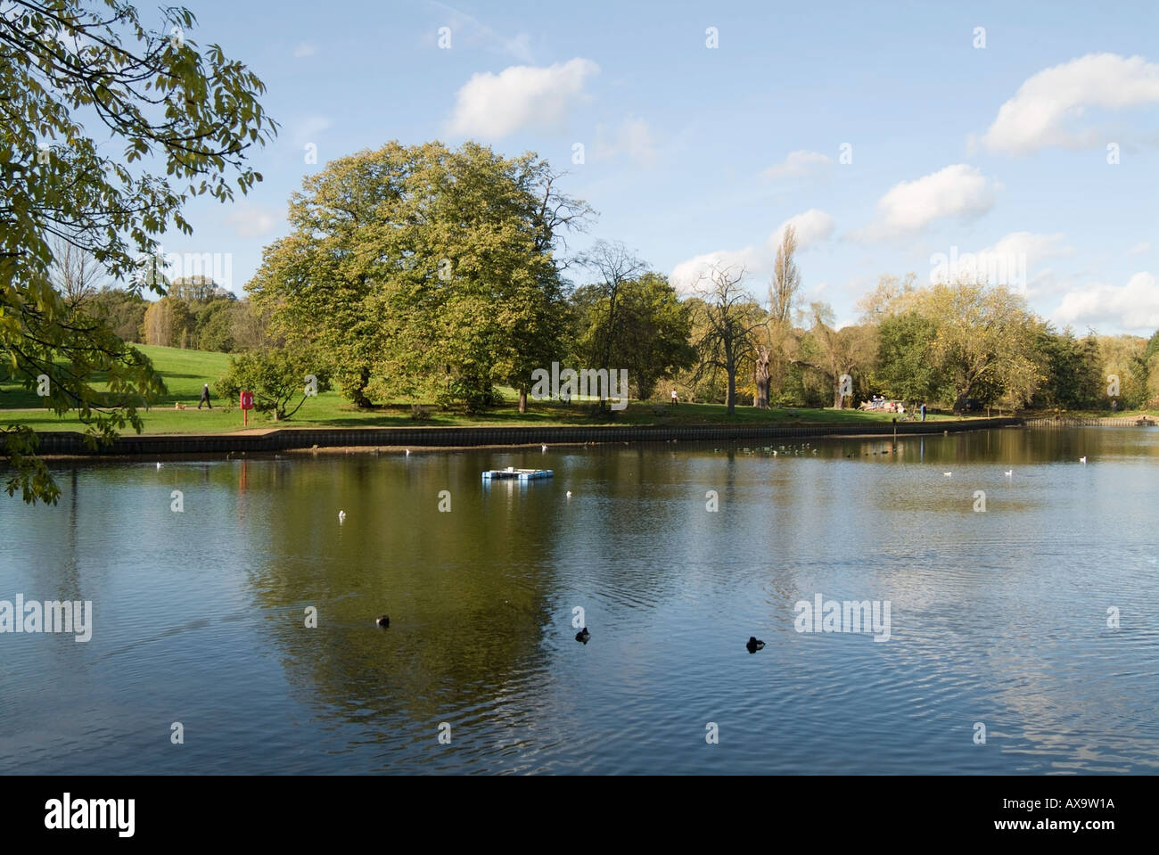 Highgate model boating pond on Hampstead Heath National Park Stock ...