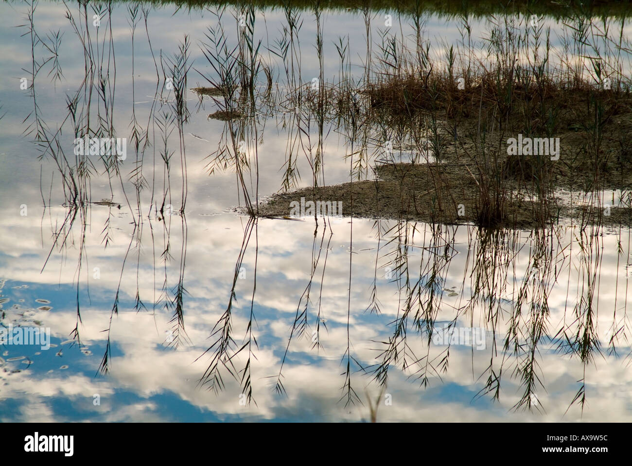 Otmoor RSPB Nature Reserve Stock Photo - Alamy