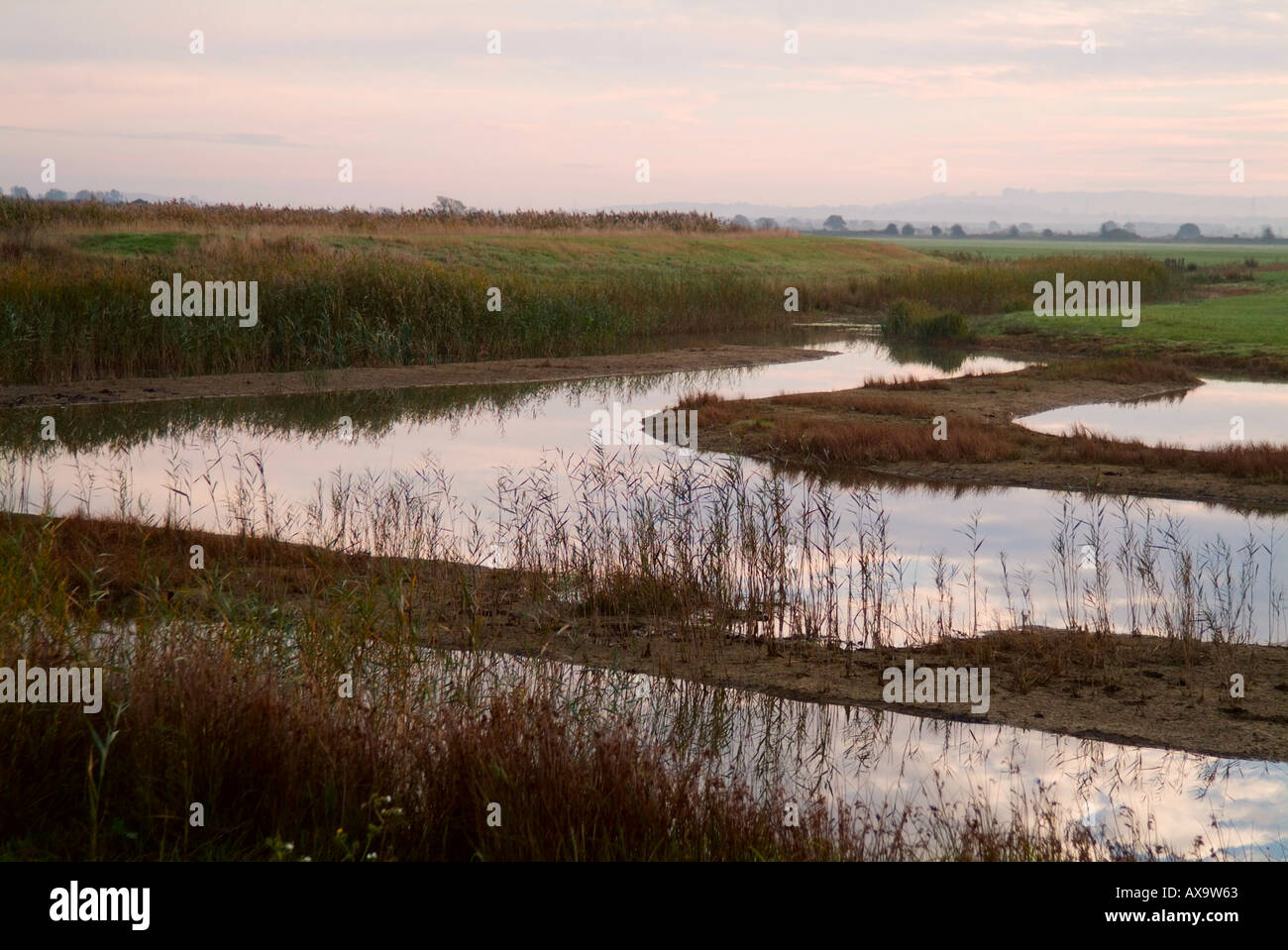 Otmoor RSPB Nature Reserve Stock Photo - Alamy