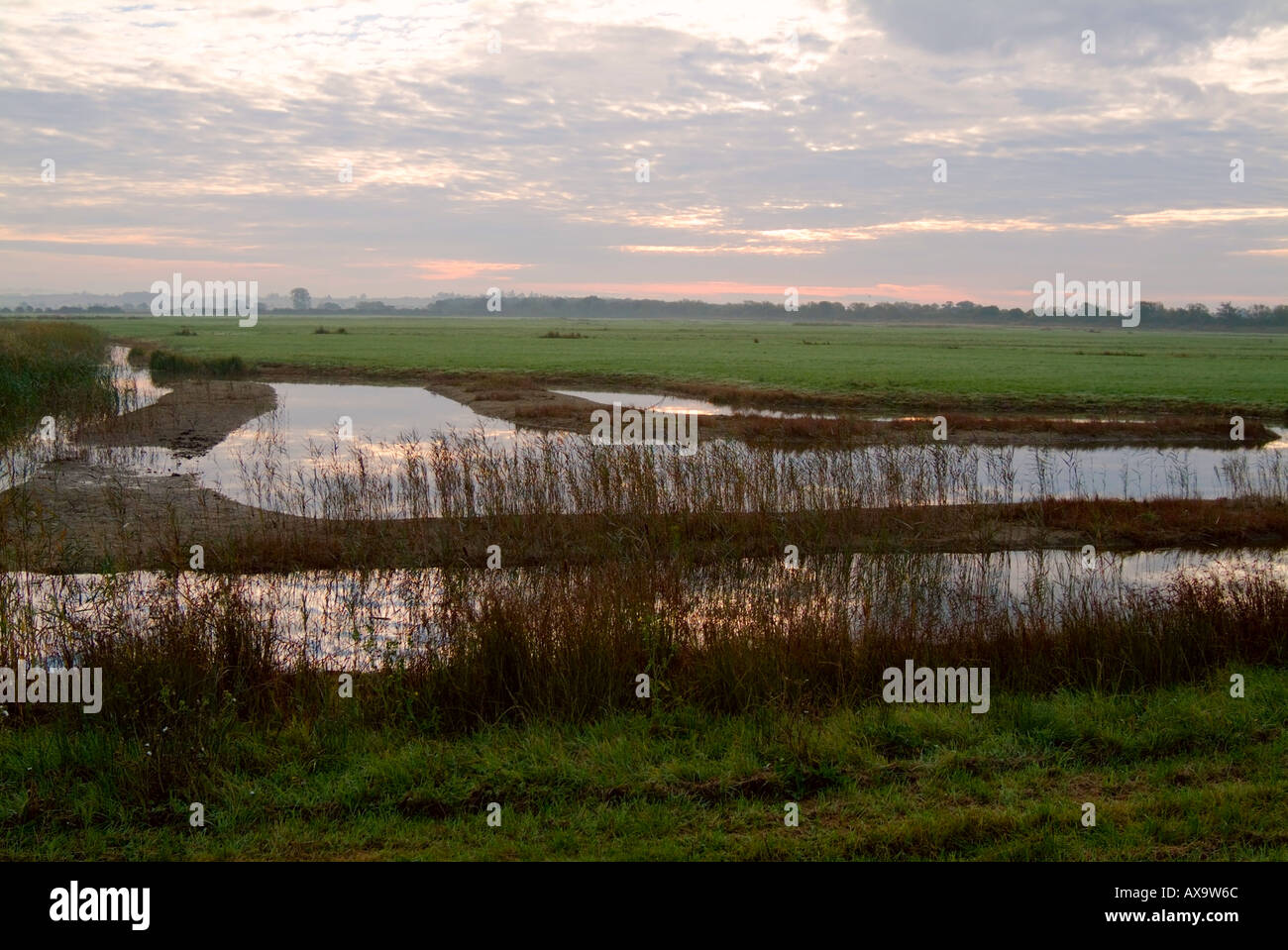Otmoor RSPB Nature Reserve Stock Photo - Alamy