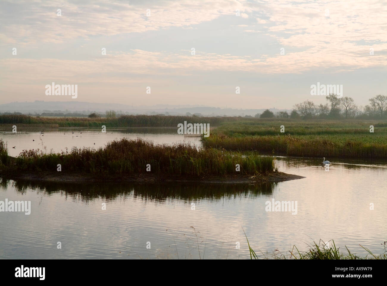 Old Moor Rspb Reserve High Resolution Stock Photography and Images - Alamy