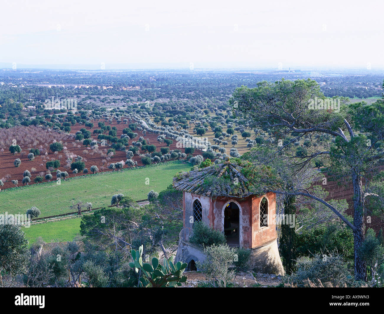Raixa mallorca hi-res stock photography and images - Alamy
