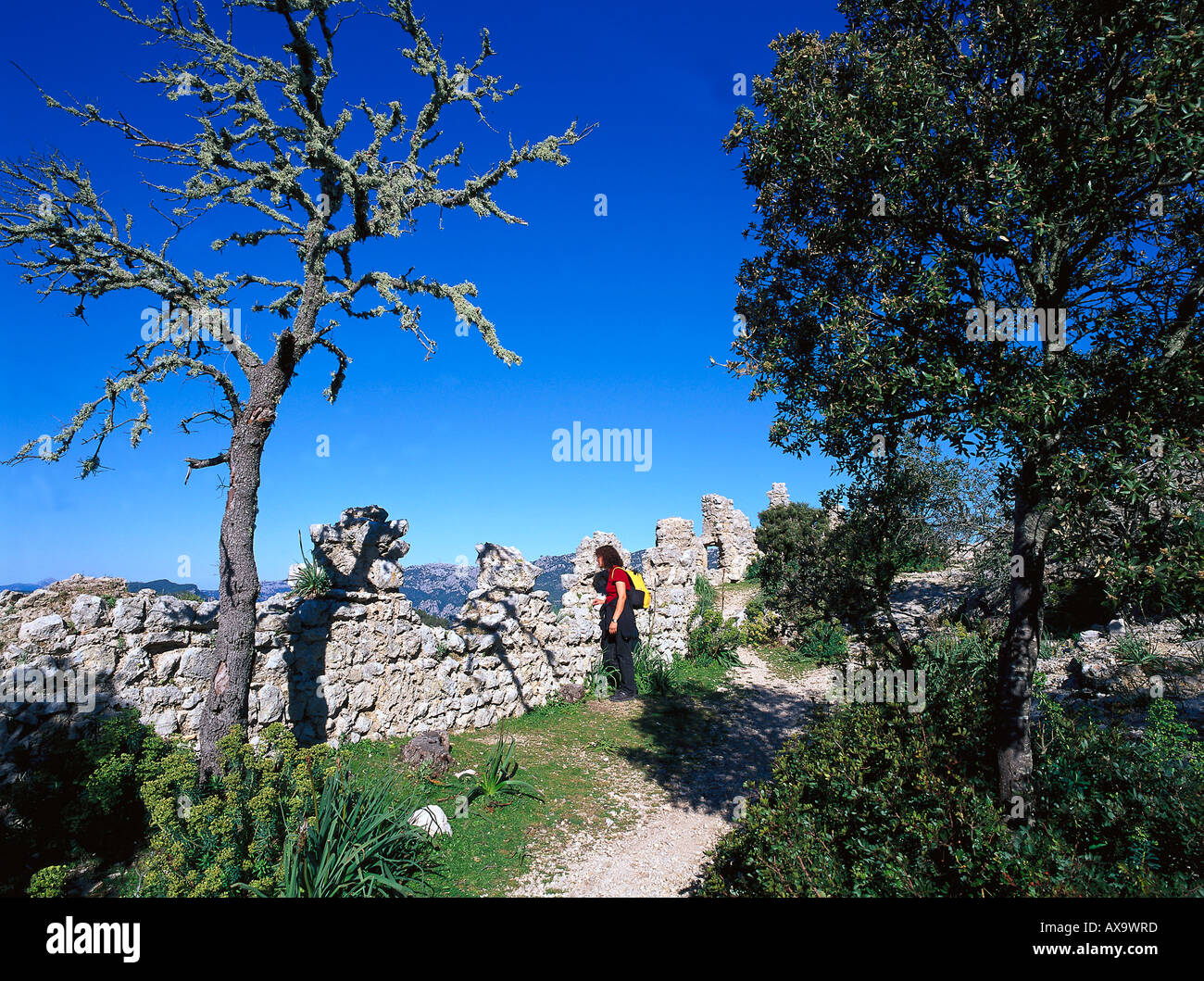 Castell alaro hi-res stock photography and images - Alamy