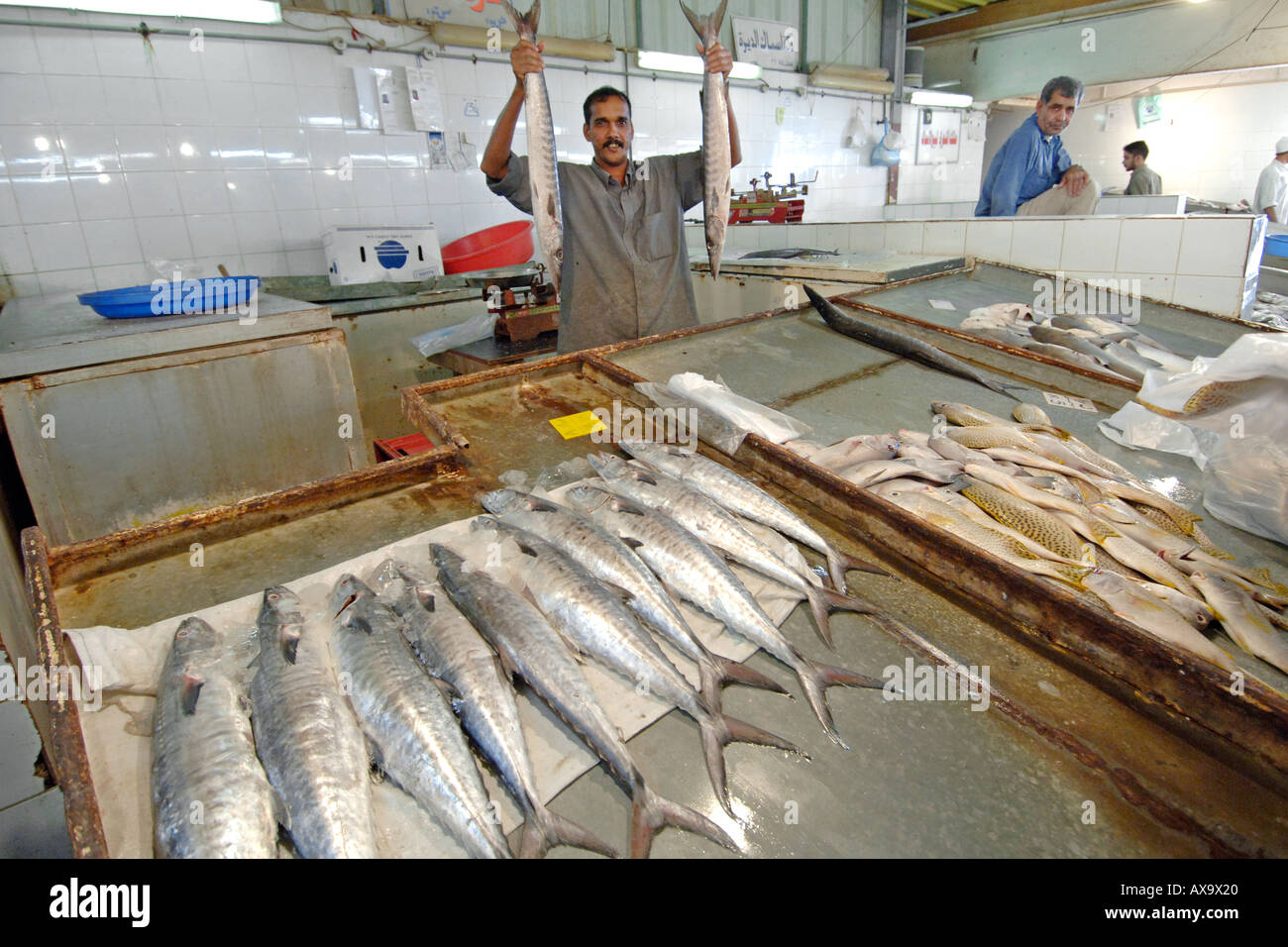 Fishmonger displaying fish at the fish market in Doha, Qatar Stock ...