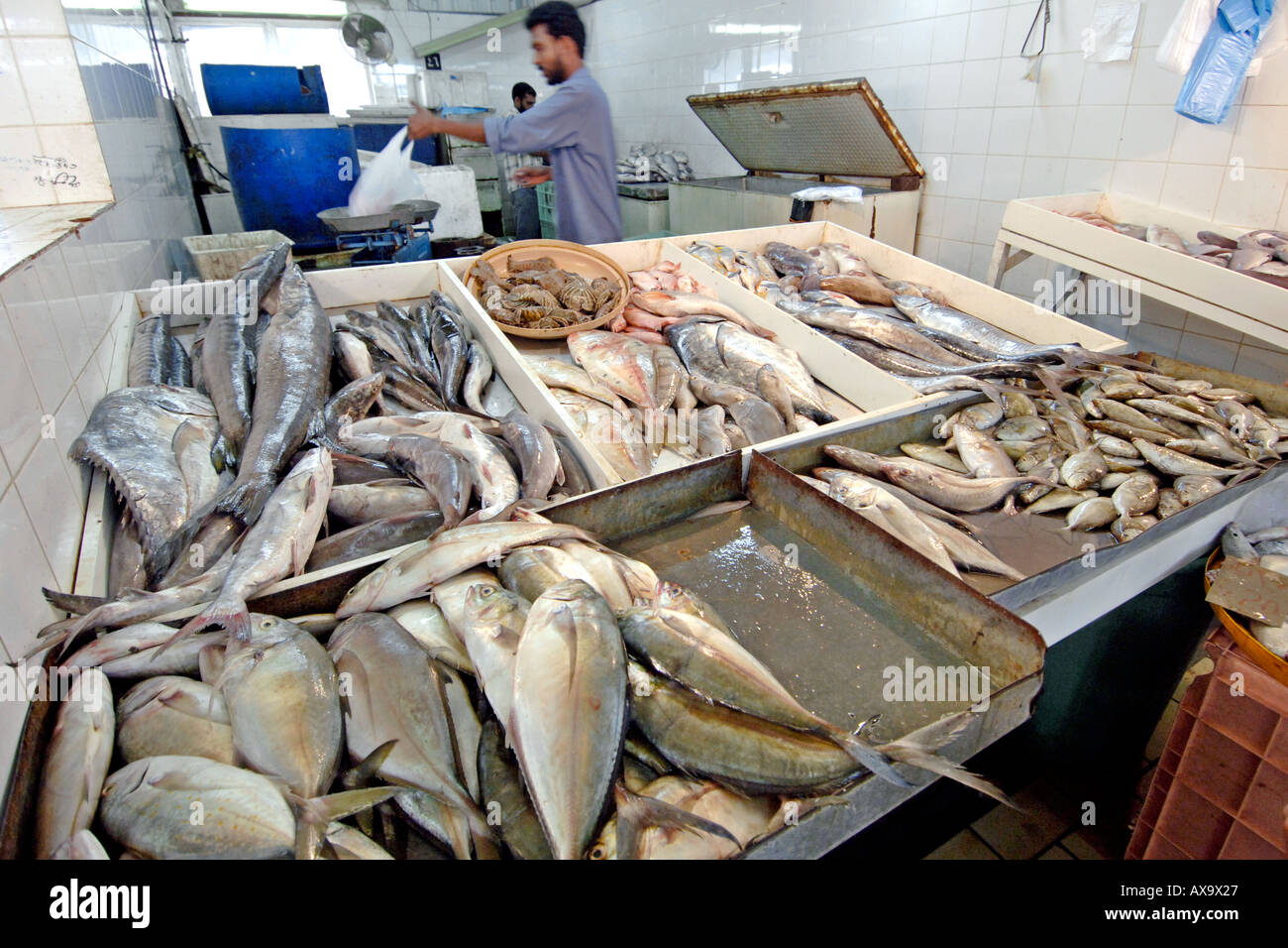 The fish market in Doha, Qatar Stock Photo - Alamy