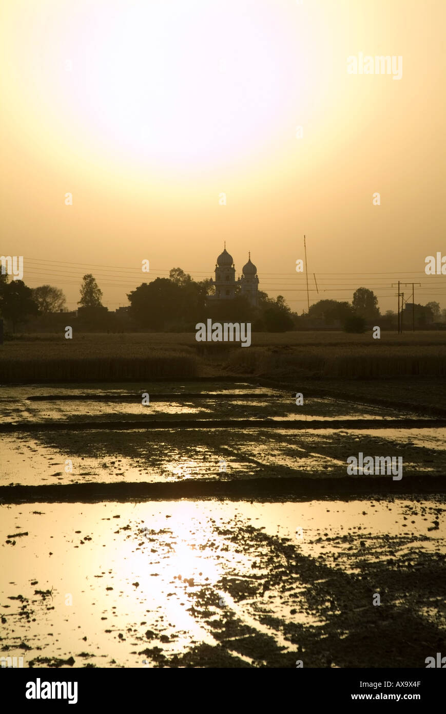 Sunset Over Punjabi Village in India Stock Photo - Alamy