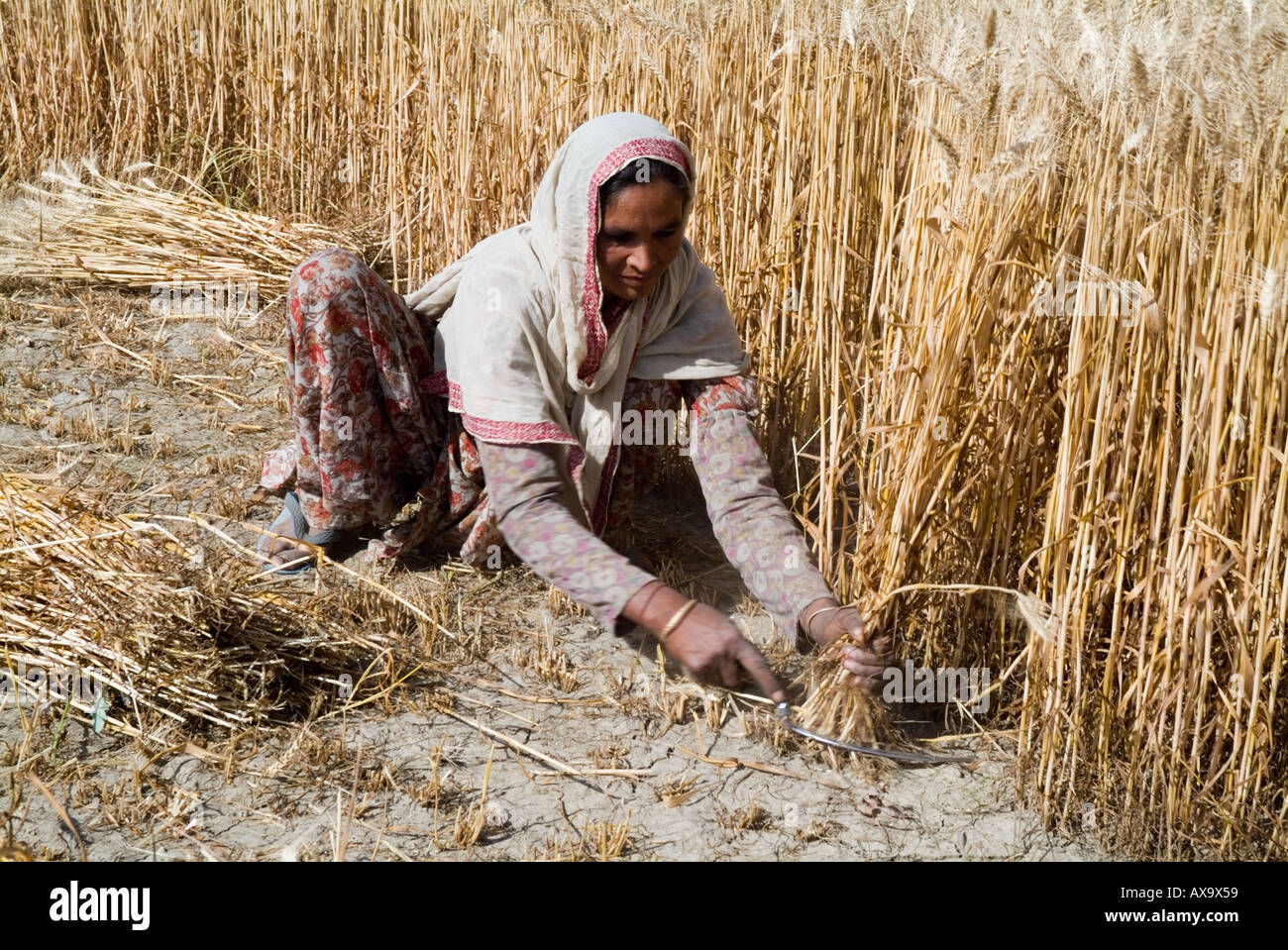 Indian woman laboring hi-res stock photography and images - Alamy