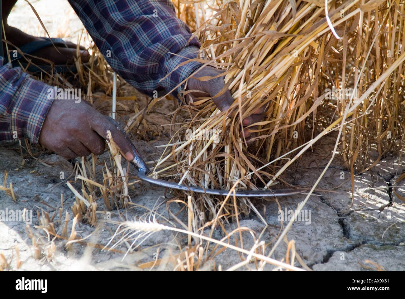 Man labourer hi-res stock photography and images - Alamy