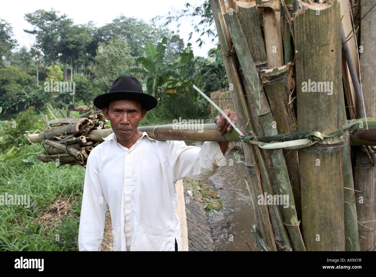 Peasant rice farmer Malang Java Indonesia Stock Photo - Alamy