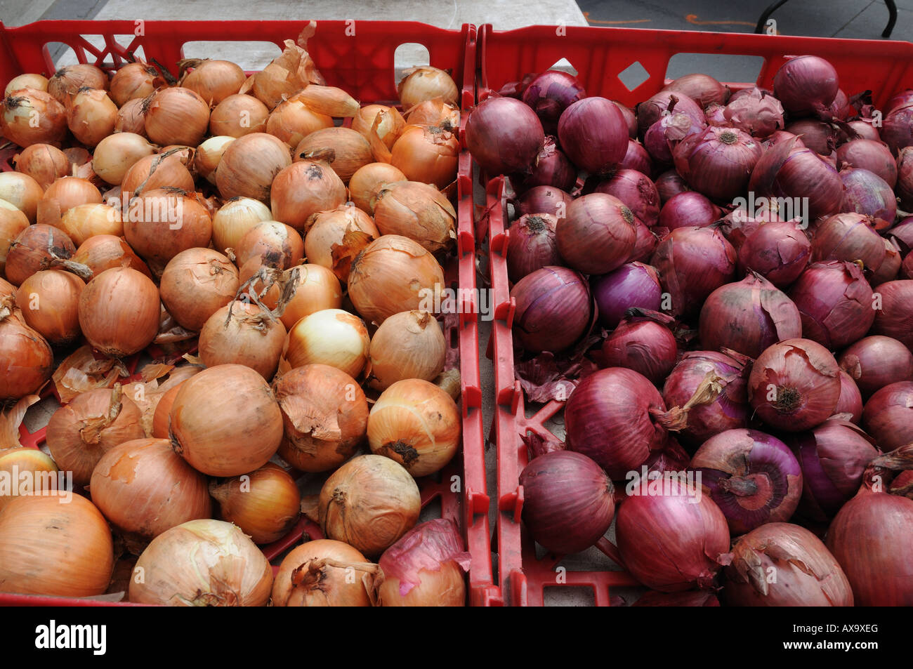 Onions for sale in a Manhattan farmers market Stock Photo - Alamy