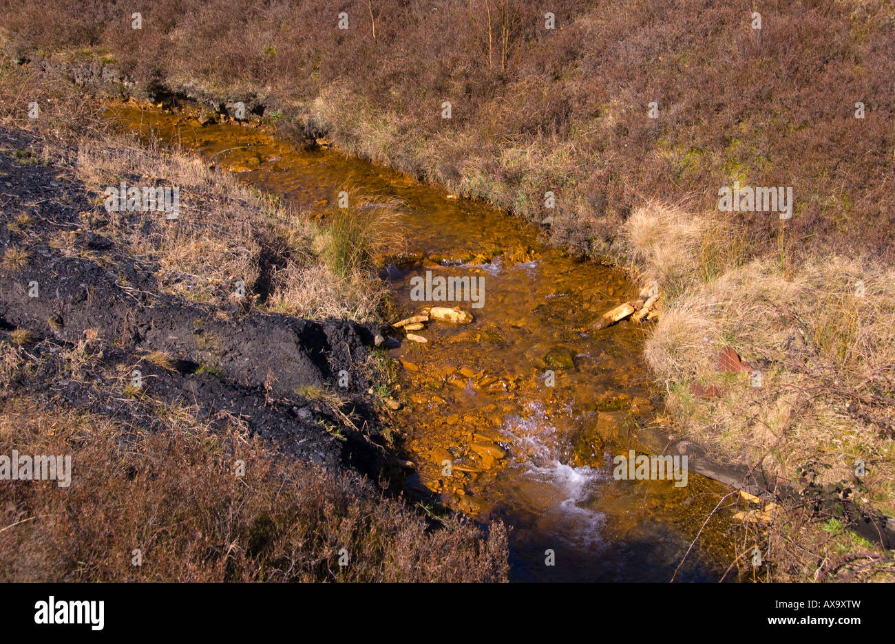 Polluted mine water from the former Blaenserchan Colliery near ...