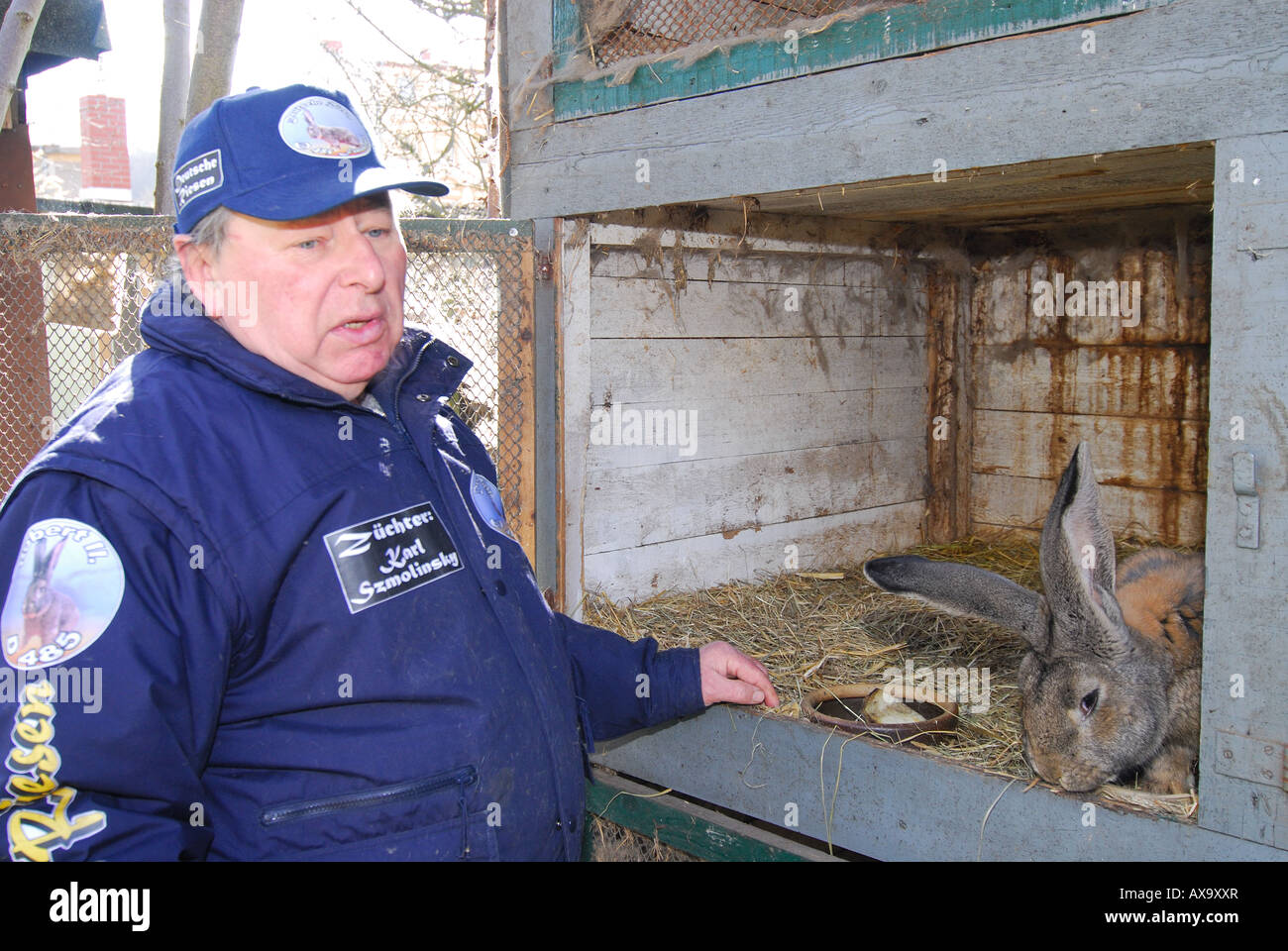 German rabbit breeder Karl Szmolinsky with one of his giant rabbits ...