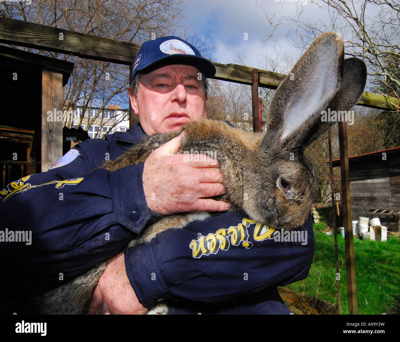 German rabbit breeder Karl Szmolinsky with one of his giant rabbits ...