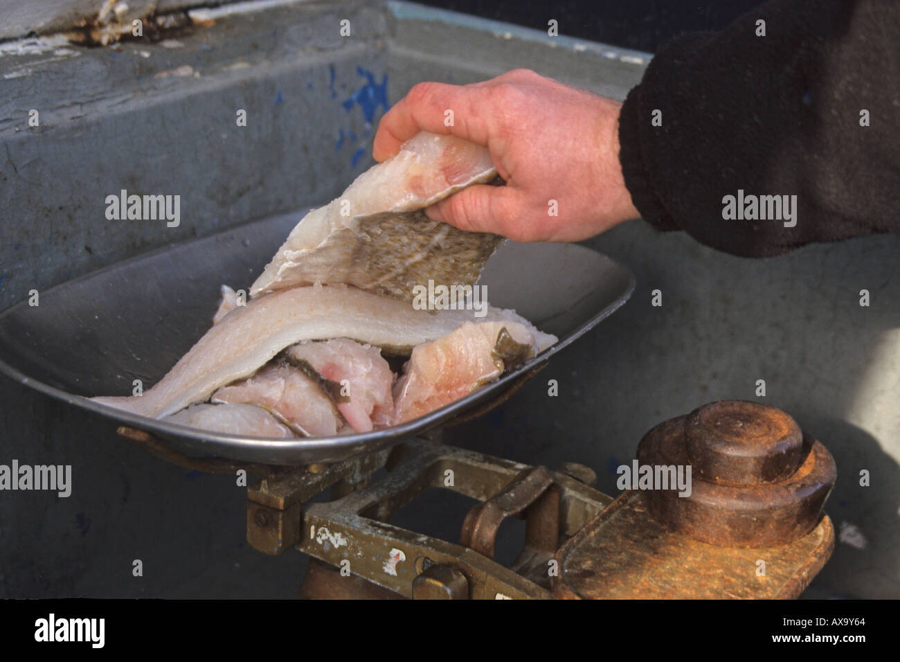 seafront fisherman selling locally fresh caught fish and weighing up ...