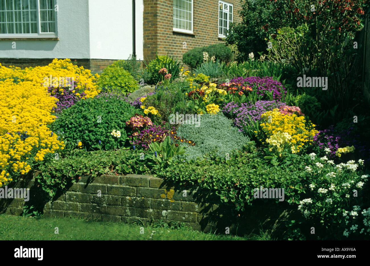 mixed spring flowers in herbaceous border Stock Photo - Alamy