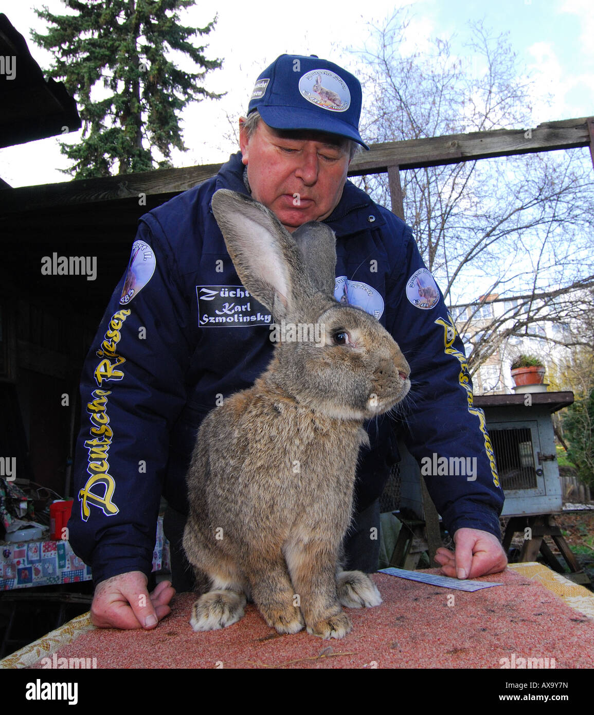 German rabbit breeder Karl Szmolinsky with one of his giant rabbits ...