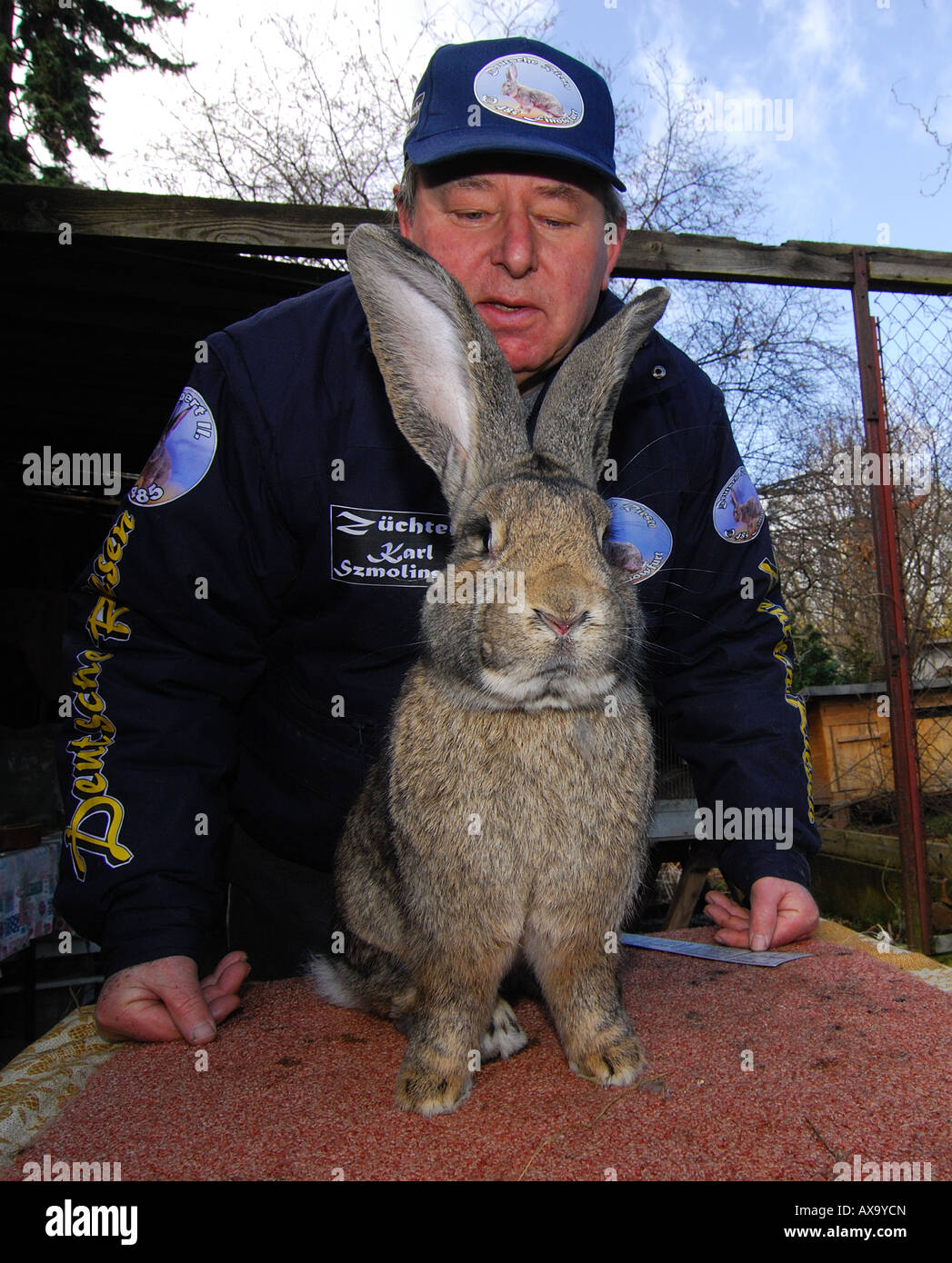 Rabbit Breeding High Resolution Stock Photography and Images - Alamy