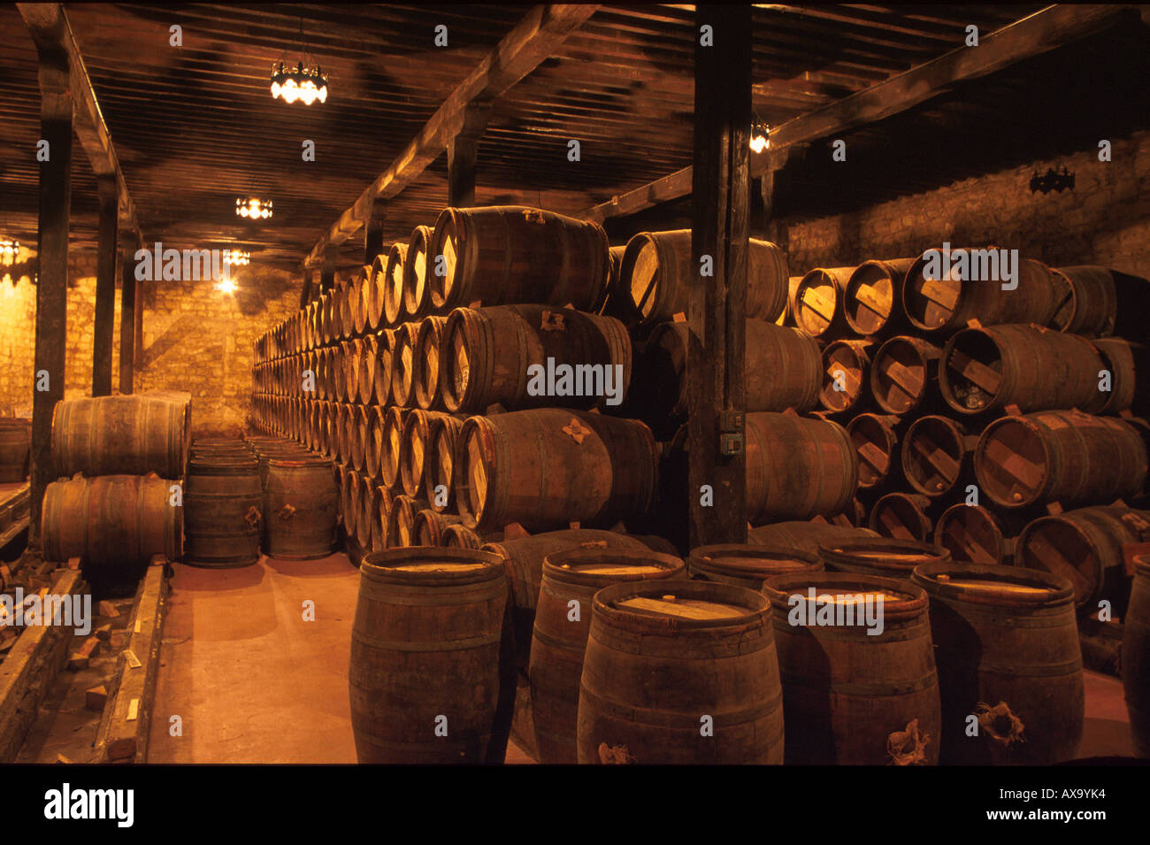 La muga hi-res stock photography and images - Alamy