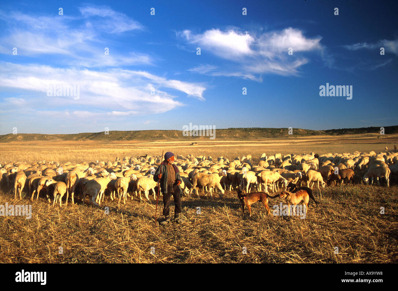 Fraga huesca hi-res stock photography and images - Alamy